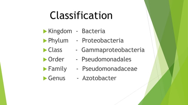 Azotobacter .pptx | Agriculture | Industries