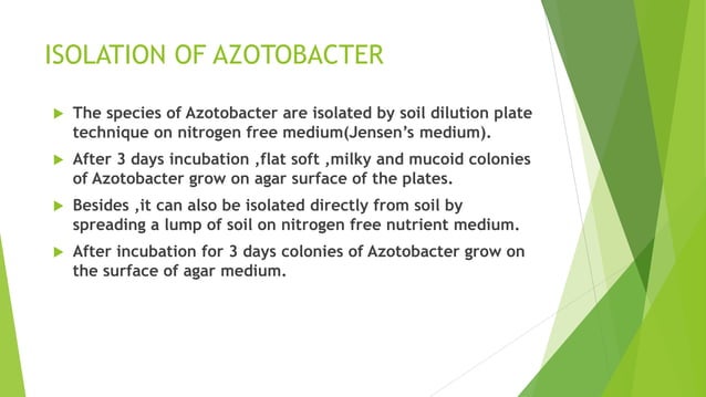 Azotobacter .pptx | Agriculture | Industries