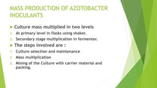 Azotobacter .pptx