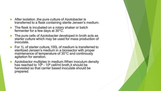 Azotobacter .pptx