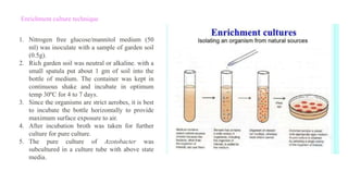Azotobacter in microbiology field of study | PPTX