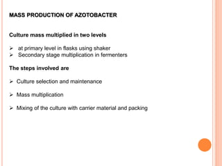 AZOTOBACTER AS BIOFERILIZER.PPTX