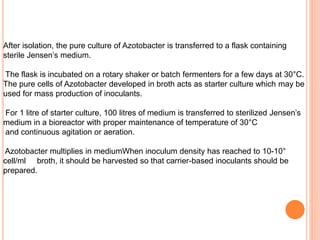 AZOTOBACTER AS BIOFERILIZER.PPTX