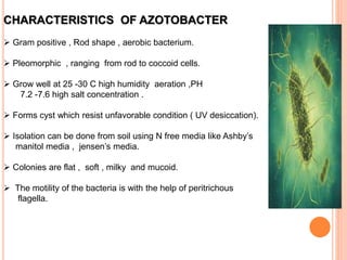 AZOTOBACTER AS BIOFERILIZER.PPTX