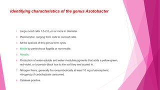 azotobacter.pptxxdddddddddddddddddddddddddddddddddd | PPT