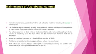 azotobacter.pptxxdddddddddddddddddddddddddddddddddd | PPT