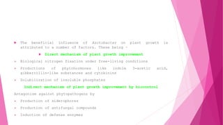 azotobacter.pptxkihaDGDDDDDDDDDDDDDDDDDDDDDD | PPTX