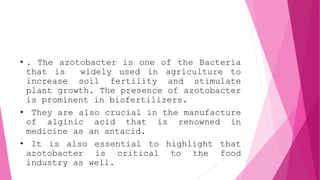 azotobacter.pptxkihaDGDDDDDDDDDDDDDDDDDDDDDD | PPTX | Agriculture | Industries