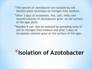 Azotobacter as biofertilizer in agriculture.ppt