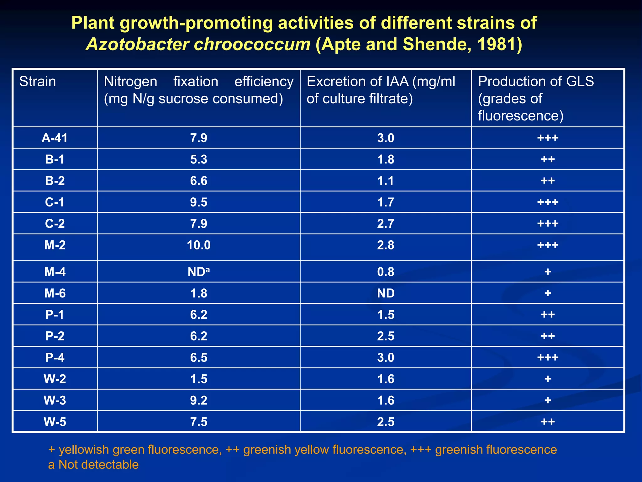 azotobacter-as-biofertilizer.ppt