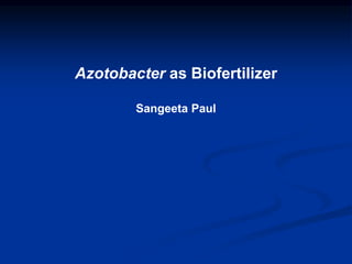 azotobacter-as-biofertilizer.ppt