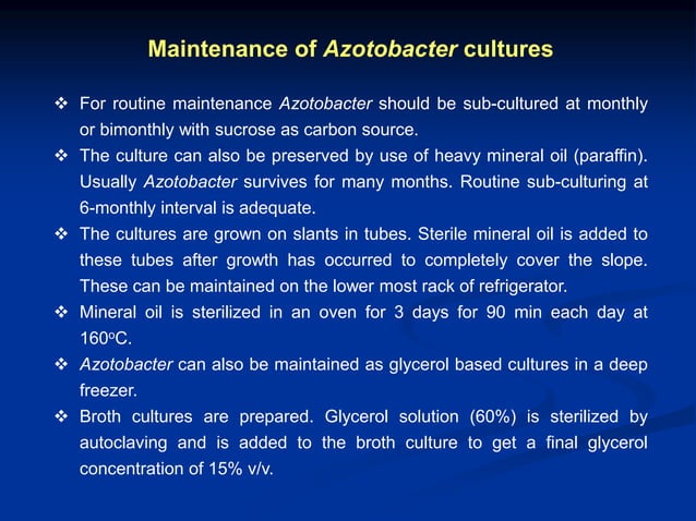 azotobacter-as-biofertilizer.ppt