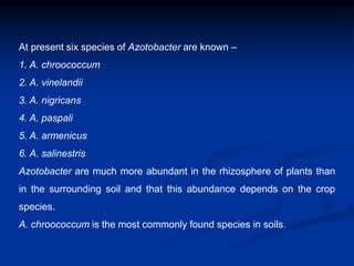 azotobacter-as-biofertilizer.ppt