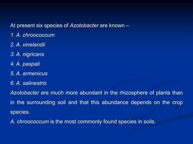 azotobacter-as-biofertilizer.ppt