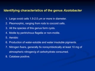 azotobacter-as-biofertilizer.ppt