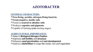 AZOTOBACTER AND PHOSPHOBACTERIA ppt_111833_120228.pptx