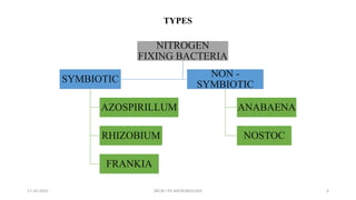 AZOTOBACTER & AZOSPIRIILUM.pptx | Agriculture | Industries