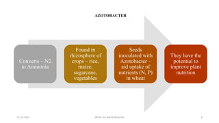 AZOTOBACTER & AZOSPIRIILUM.pptx | Agriculture | Industries