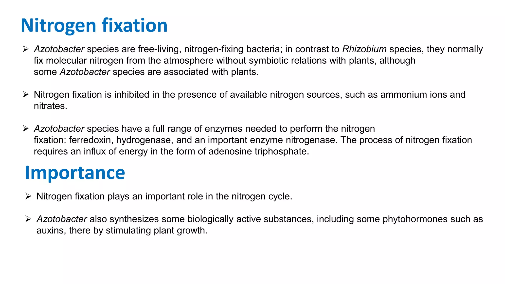azotobacter .pptx