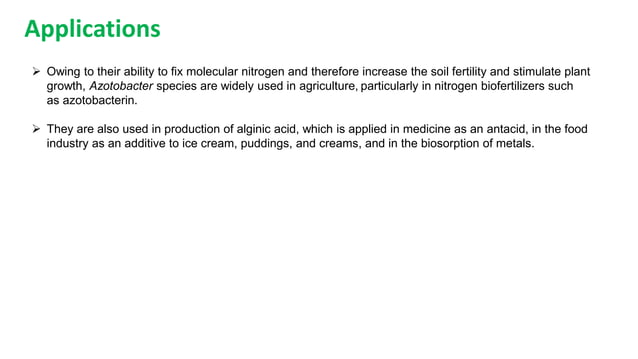 Azotobacter Pptx