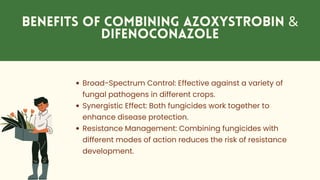 Azoxystrobin difenoconazole | Kisan Pesticides | PDF