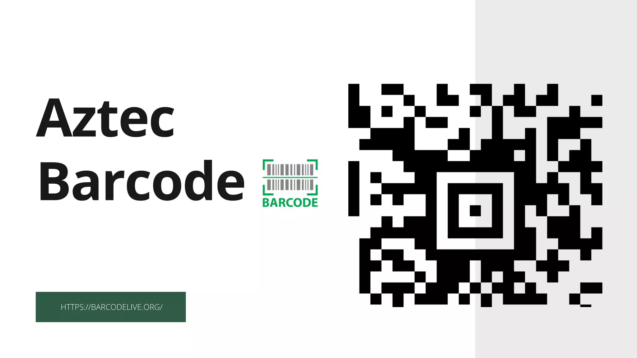 Aztec Bar Code Fundamentals: A Definite Guide [Updated] | PPT