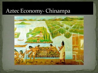 Aztec Economics