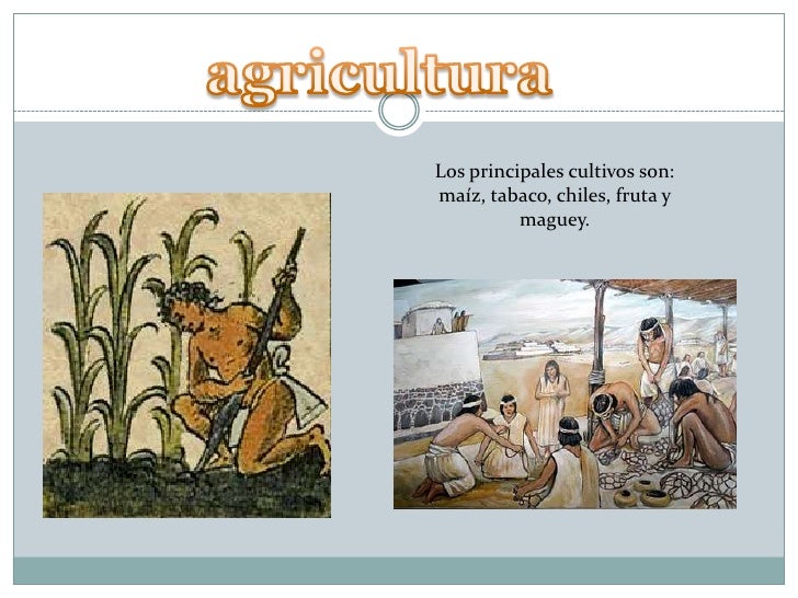 Agricultura Azteca Y Sus Productos – WYCK