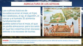 Aztecas y mayas grupo 4 | PPTX