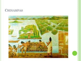 Aztec Overview | PPTX