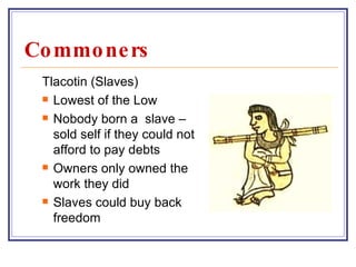 Aztec Social Structure | PPT | Marriage and Civil Unions | Family and ...