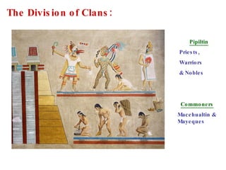 Aztec Social Structure