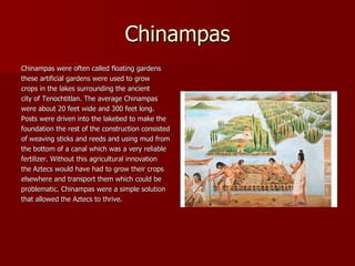 Aztec Achievements And Inventions