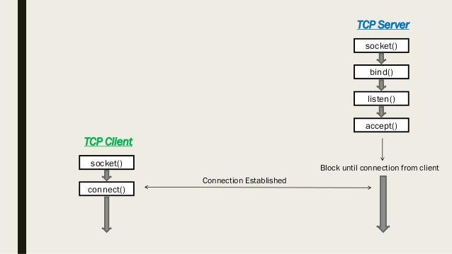 Elementary Tcp Sockets 1297