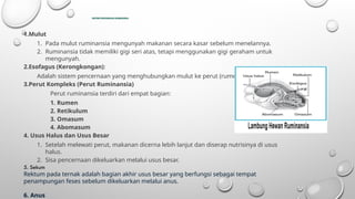 PPT FISIOLOGI PENCERNAAN RUMINANSIA TERNAK | PPTX
