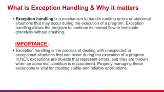 Azure Function App Exception Handling.pptx