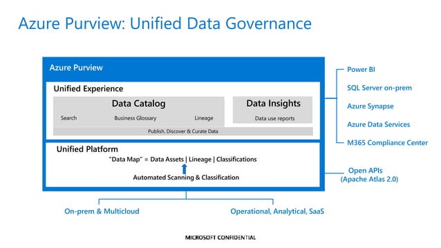 Microsoft Purview | PPTX