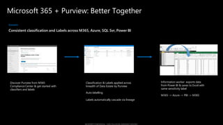 Microsoft Purview | PPTX