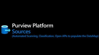 Azure_Purview.pdf