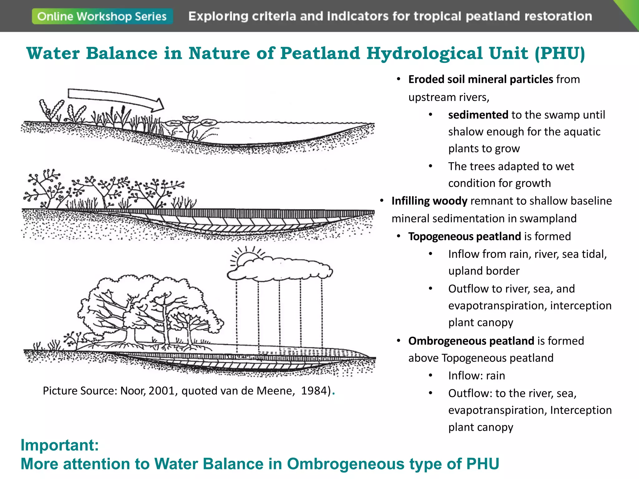 Water balance of peatland hydrological unit (PHU) | PDF