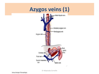 Azygos ,Thoracic duct and Porto-Systemic anastomosis.pptx