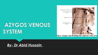 AZYGOS VENOUS SYSTEM.pptx full note anatomy | PPTX
