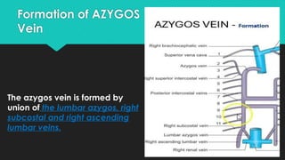 AZYGOS VENOUS SYSTEM.pptx full note anatomy | PPTX