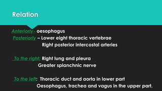 AZYGOS VENOUS SYSTEM.pptx full note anatomy | PPTX