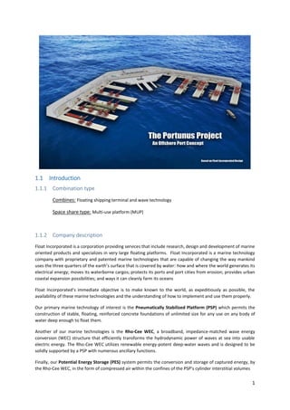 B 1-float-inc-final-report | PDF | Business Accounting & Finance | Business