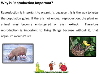 Reproduction, Excretion and Sensitivity - Elementary and Primary ...