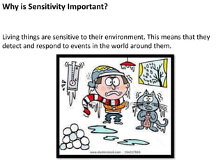 Reproduction, Excretion and Sensitivity - Elementary and Primary ...
