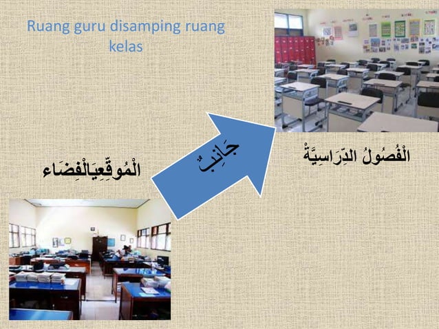 PPT B.arab