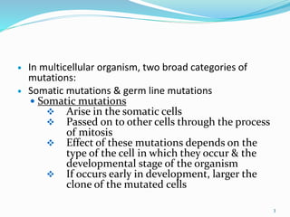 B.sc. agri i pog unit 2 mutation | PPT