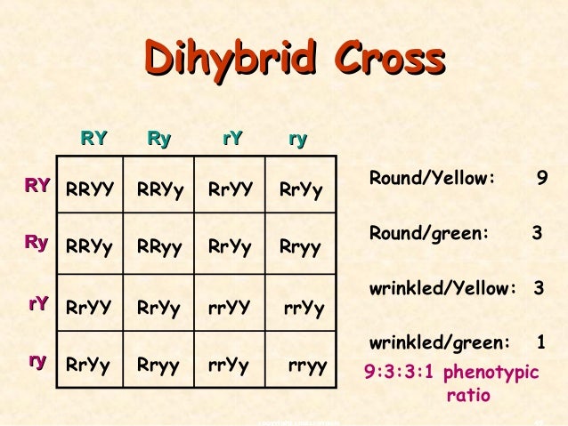 B.sc. agri i pog unit 3 mendelian genetics